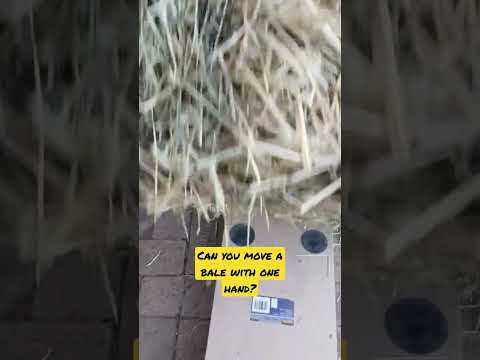 Hay bales are heavy - do you do this?