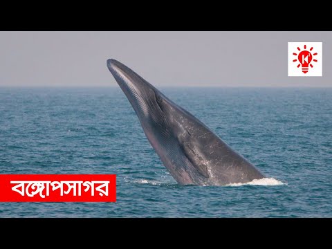 বঙ্গোপসাগর | কি কেন কিভাবে | Bay of Bengal | Ki Keno Kivabe
