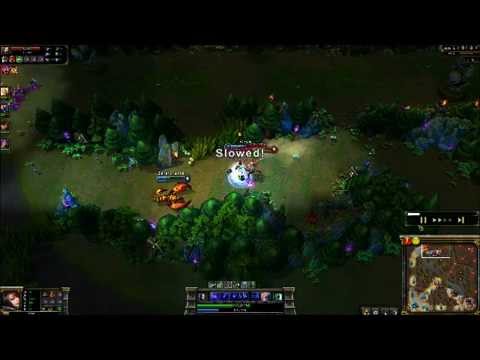 Fiora Champion Review