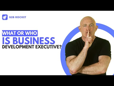 What is a Business Development Executive? Explained!