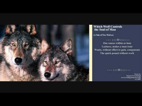 A Tale of Two Wolves – Poetry, blogs, and the odd musing!