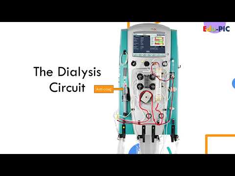 Renal Replacement Therapy in PICU: CRRT (CVVH, CVVHD & CVVHDF)