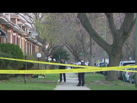 Man shot dead in Chicago's Brainerd neighborhood