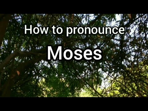 How to Pronounce Moses