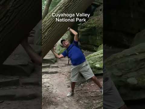 Cuyahoga Valley National Park’s Ledges Trail.