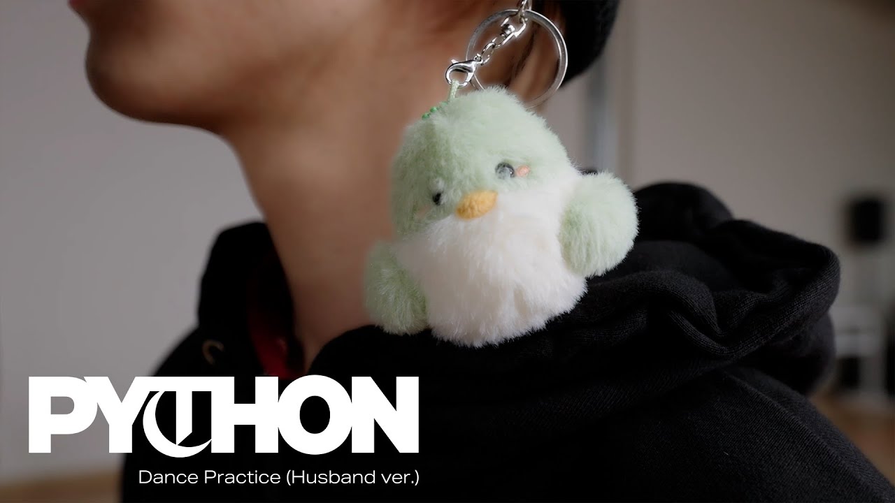 GOT7 'PYTHON' Dance Practice (Husband ver.)