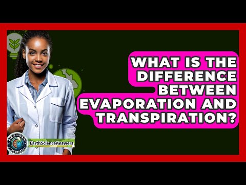 What Is the Difference Between Evaporation and Transpiration? - Earth Science Answers