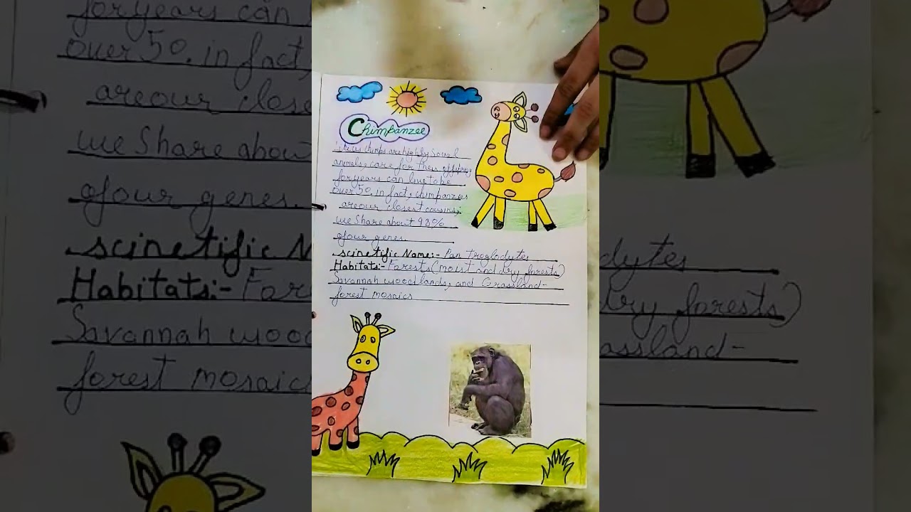 endangered species | endangered animals project #project #poster #art #drawing #shorts