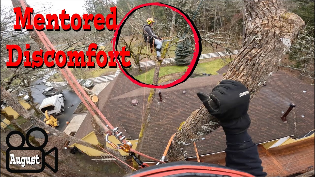 Rookie Climbs Tree: Overcoming FEAR and Learning to TRUST Equipment