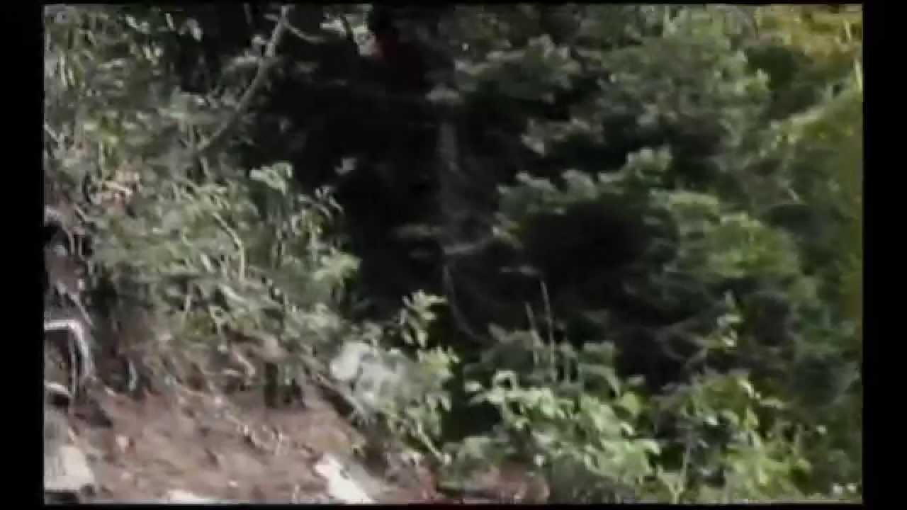 Don't Go in the Woods (1981) - Trailer