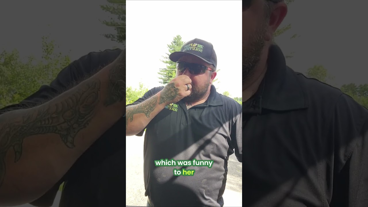 Odorous House Ants NH Identifying & Controlling Them! | #shorts #newhampshire #pestcontrol #maine