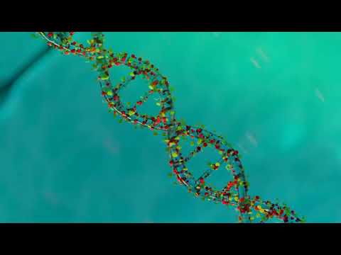 DNA Logo Motion Graphics.