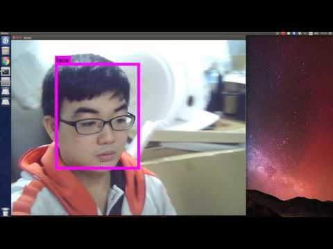 Deep Learning Face Detection with Darknet YOLO