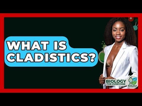 What Is Cladistics? - Biology For Everyone