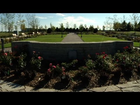 Beautiful New Park in Maple Grove
