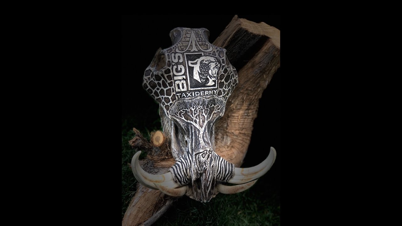 BONETATS carves a WARTHOG SKULL!  TAKE A LOOK!!!
