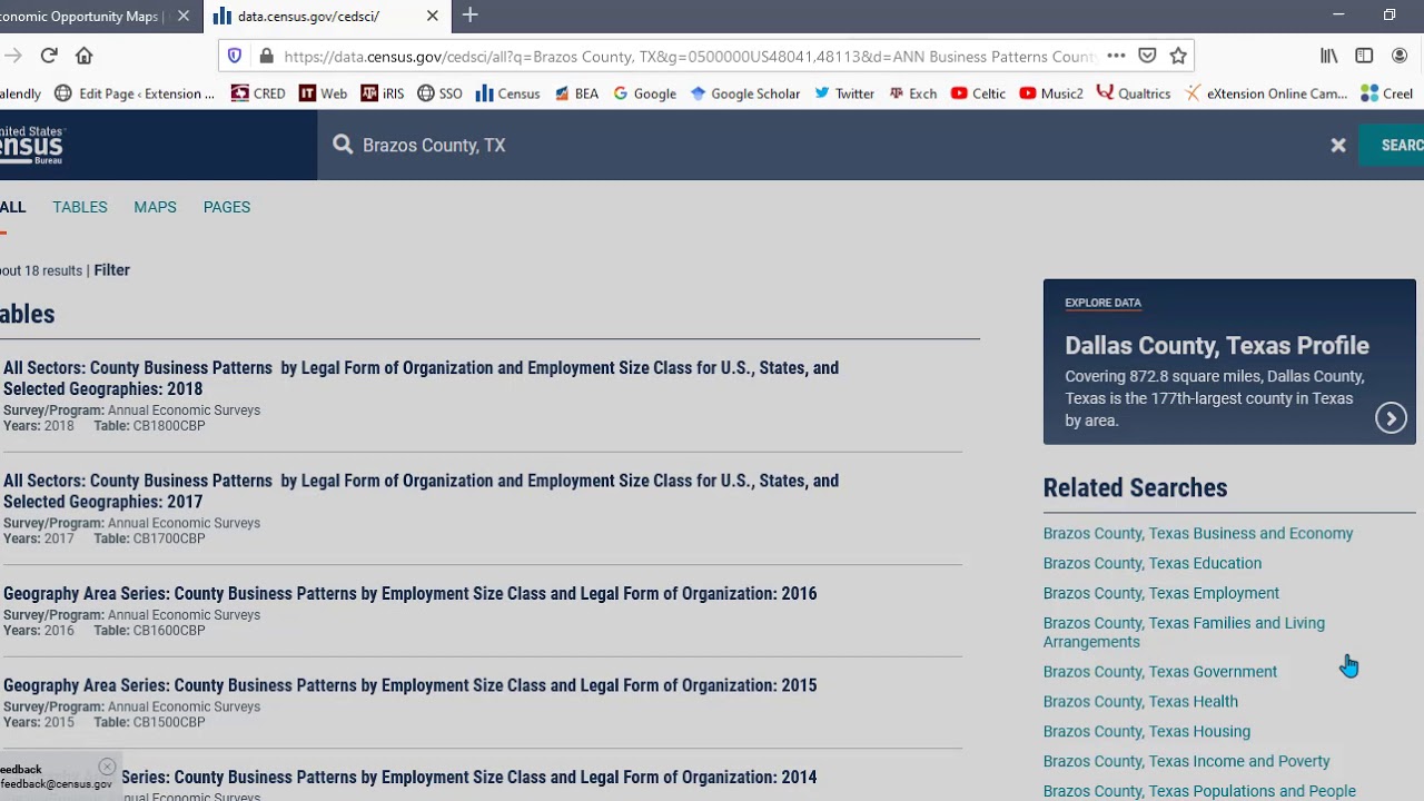 Accessing County Business Patterns Data