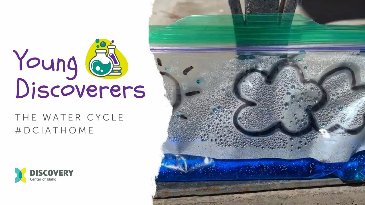 Young Discoverers: The Water Cycle!