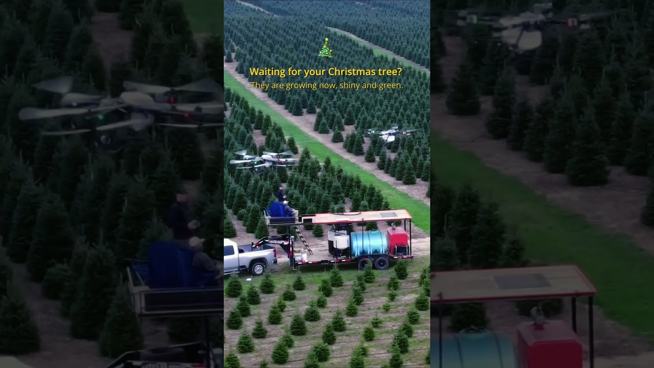 Yep, we're already prepping your Christmas trees. 😎