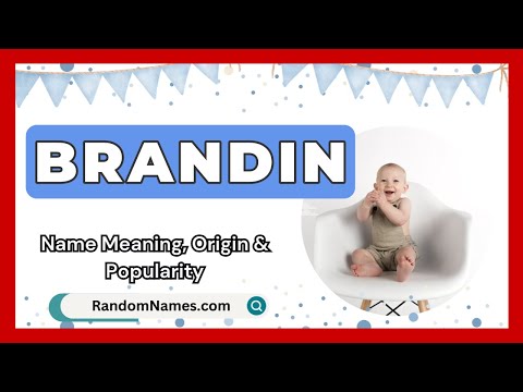 Brandin - Baby Boy Name Meaning, Origin & Popularity - RandomNames.com