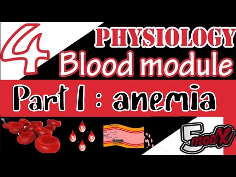 lecture 4 anemia