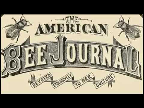 American Bee Journal - Volume One Number One, January 1861: Large Deposit Of Honey