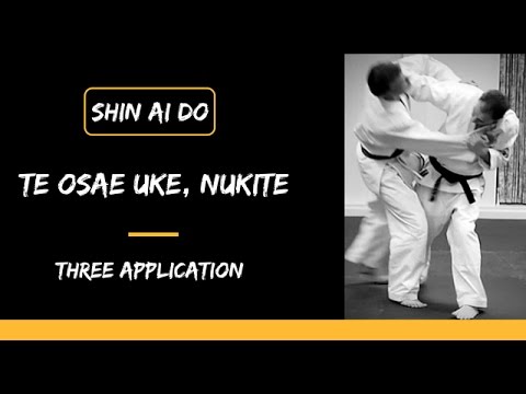 Te Osae Uke, Nukite – Bunkai – Les Bubka Karate Jutsu