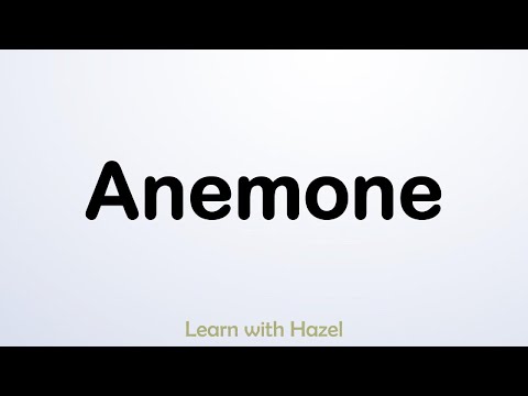 How to Pronounce Anemone? (CORRECTLY)