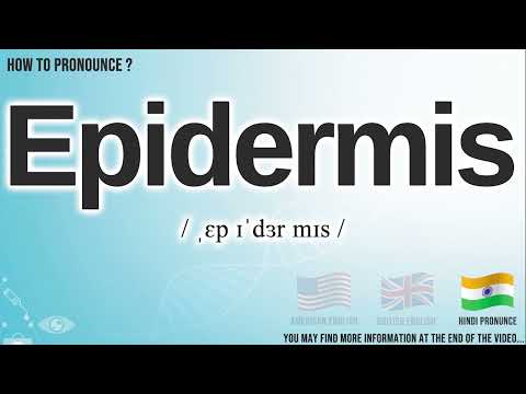 Epidermis Pronunciation | How to Pronounce (say) Malignant CORRECTLY | Definition of Malignant