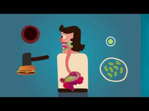 What is Digestion in Urdu Biology | human digestive system | digestion in stomach