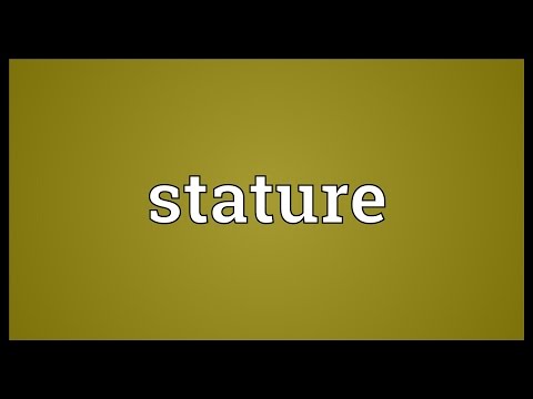Stature Meaning