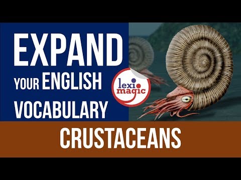 Crustaceans