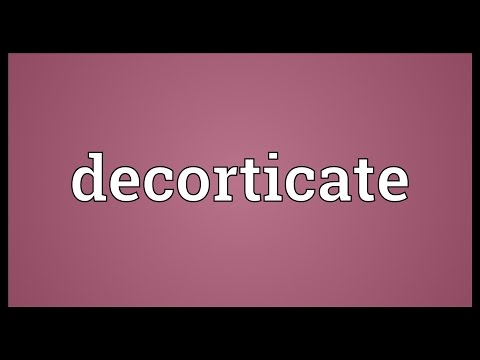 Decorticate Meaning