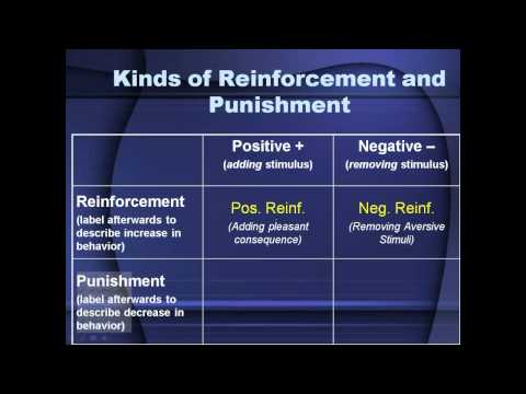 AP Psych Review: Operant Conditioning: Reinforcers and Punishers