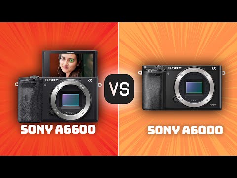 Sony A6600 vs Sony A6000: Which Camera Is Better? (With Ratings & Sample Footage)
