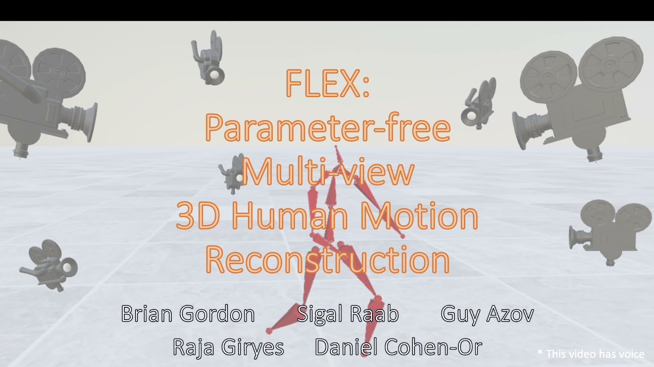 FLEX: Parameter-free Multi-view 3D Human Motion Reconstruction