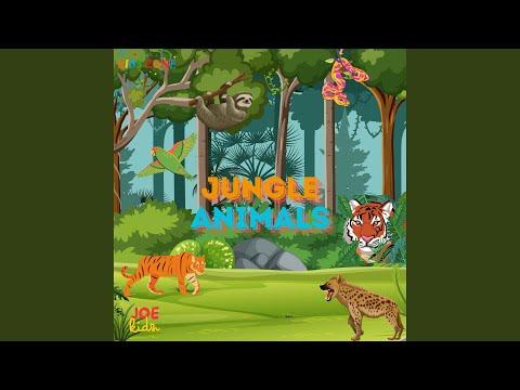 Jungle Animals