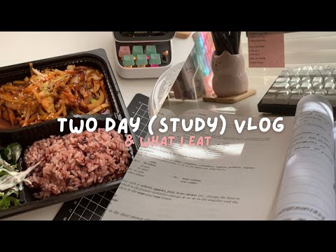 two day study vlog & what I eat [ft. vissles v84 mechanical keyboard]