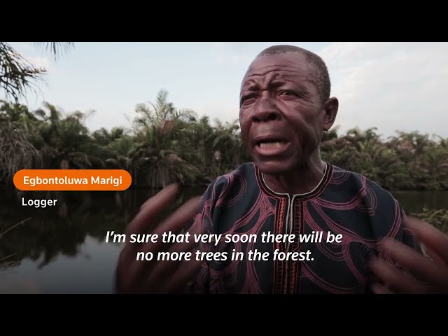 HotSpot: Mass deforestation in Ondo State, Nigeria
