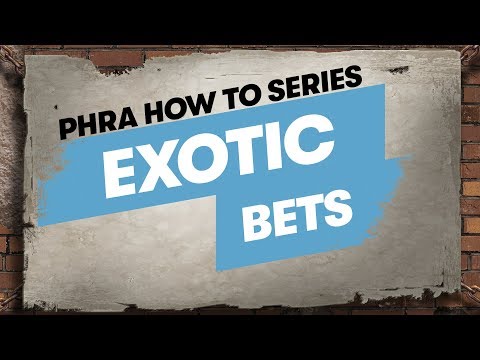 Understanding Exotic Bets in Horse Racing