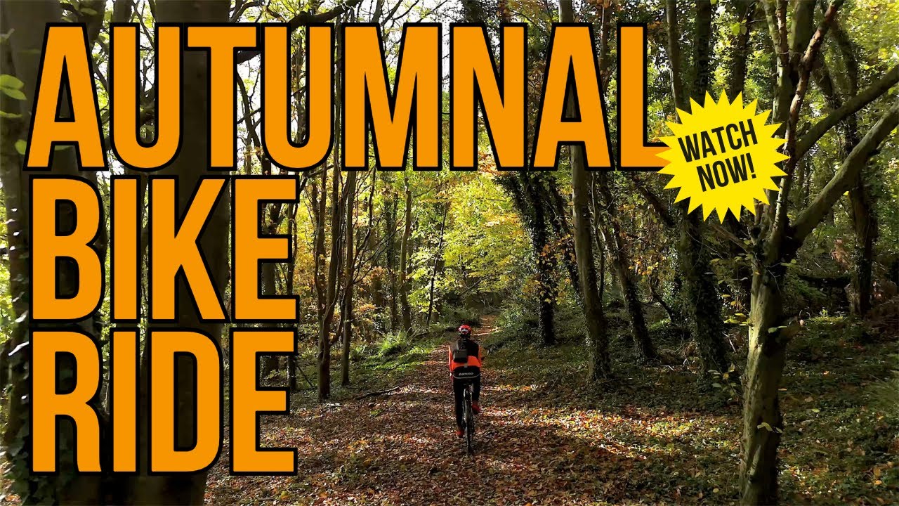 “Epic Autumn Gravel Bike Ride 🍁 | Stunning Fall Colors, POV Adventure + Cinematic Drone Shots”