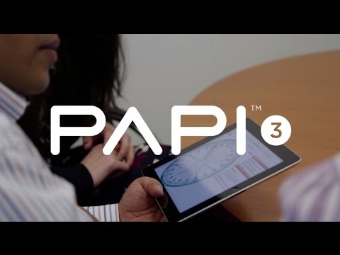 Cubiks PAPI Test Free Online Practice & Tips 2024