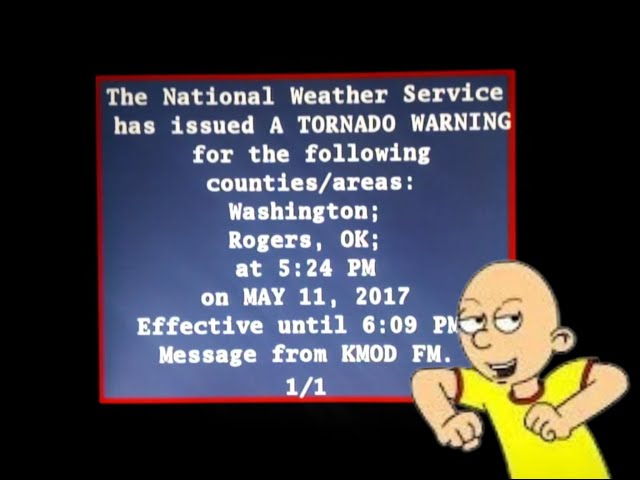 Caillou Creates a Fake Nationwide Emergency Alert Causing Panic Across ...