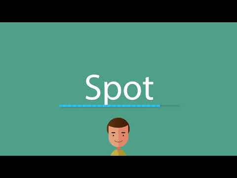 How to pronounce Spot