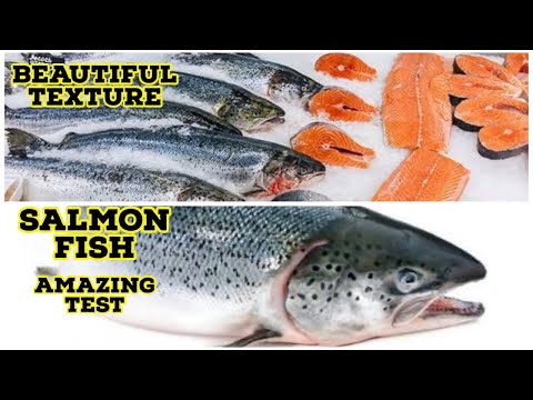 Salmon Fish Full of omega 3 Urdu/Hindi