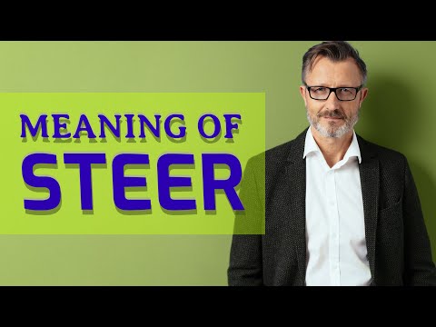 Steer | Meaning of steer