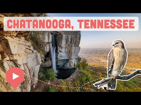 Best Things to Do in Chattanooga, TN