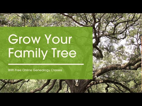 Grow Your Family Tree With Free Online Genealogy Classes