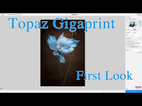 TOPAZ GIGAPRINT (First Look) Found in TOPAZ GIGAPIXEL 7