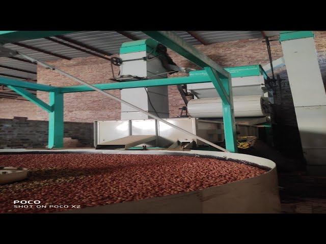 Groundnut Decordicator - Industrial Groundnut Seed Grader Manufacturer ...